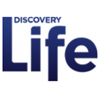 Channel Lineup - Nsight Telservices